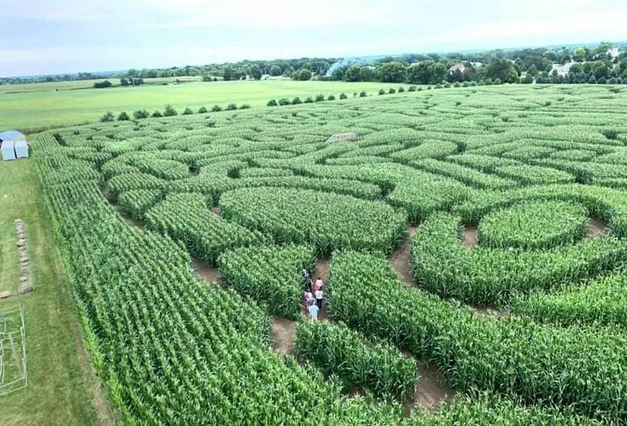 The Strangest Labyrinth Farms in the World Made for Adults! – World ...