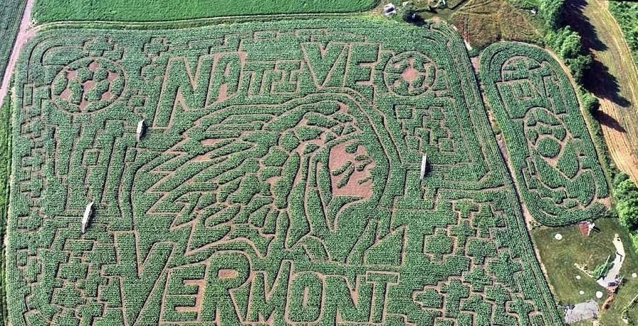 The Strangest Labyrinth Farms in the World Made for Adults! – World ...